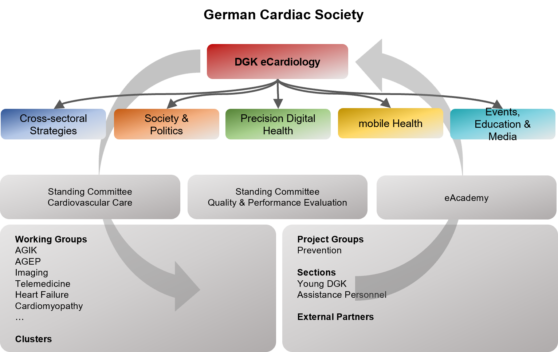 Organigramm eCardiology